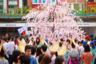 Japanese cherry blossom festival opens