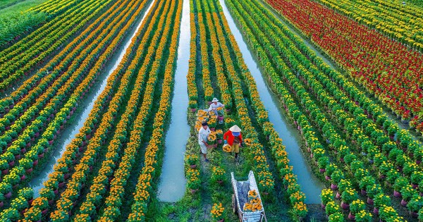 Ha Noi to fulfil new-style rural building targets by 2025