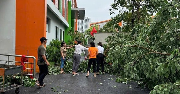 Ha Noi grants tax relief for Yagi flood victims